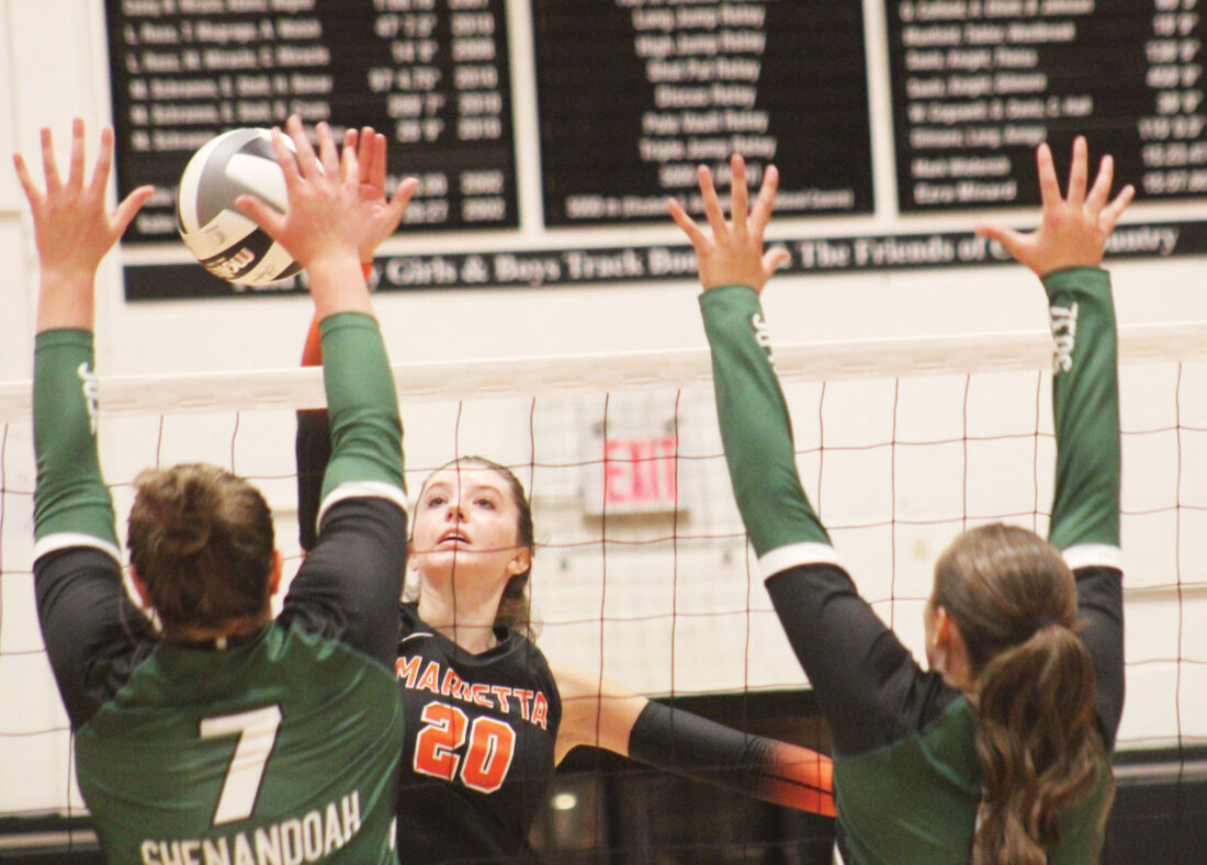 Tigers sweep Zeps, improve to 6-0 | News, Sports, Jobs - News and Sentinel